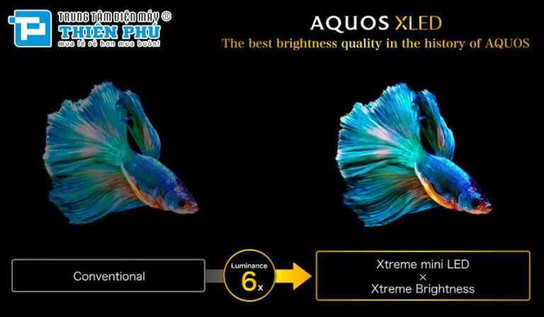 Google Tivi Sharp XLED 4K 65 inch 4T-C65FV1X giá rẻ tại kho chính hãng